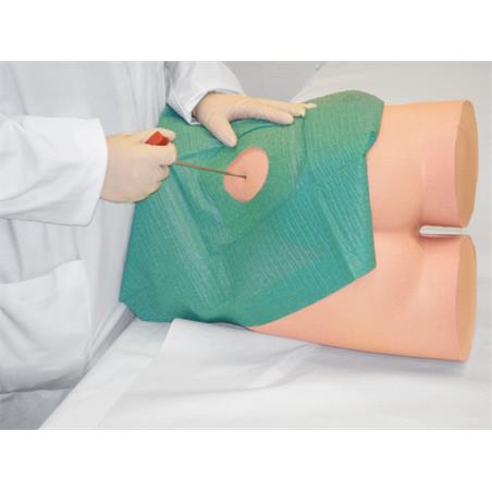 Simulador inyección intramuscular y biopsia por punción de la cresta Ilíaca